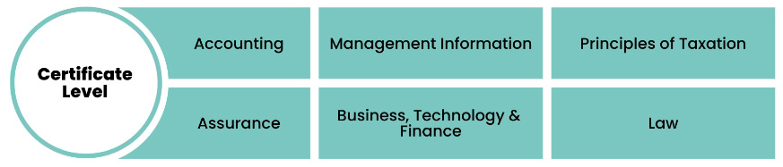 ICAEW CFAB & BFP - DSR Professional Training